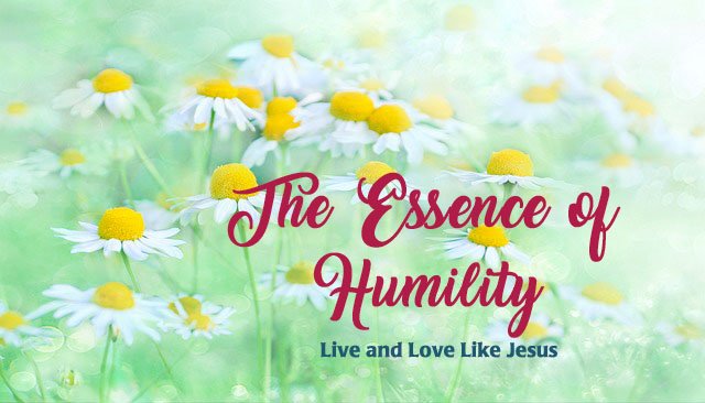 Encourage Others: Share Your Stories for “The Essence of Humility ...